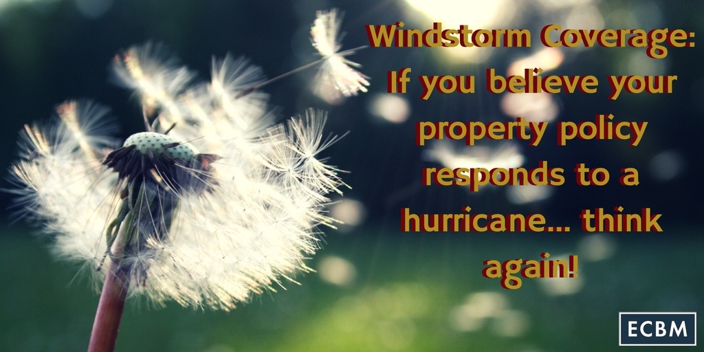 Windstorm Coverage and Hurricanes: What You Need to Know